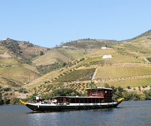 Douro Cruises | Douro Acima